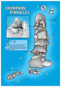 Whale shark Season starting early in 2024