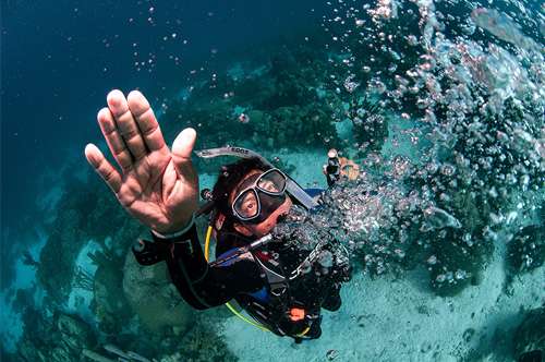 Why do your SSI Divemaster Course?
