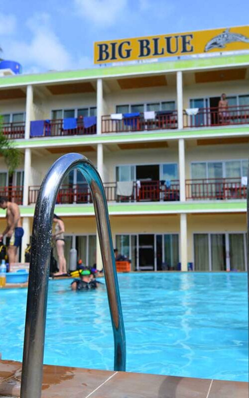 Our Big Blue Diving Resort.