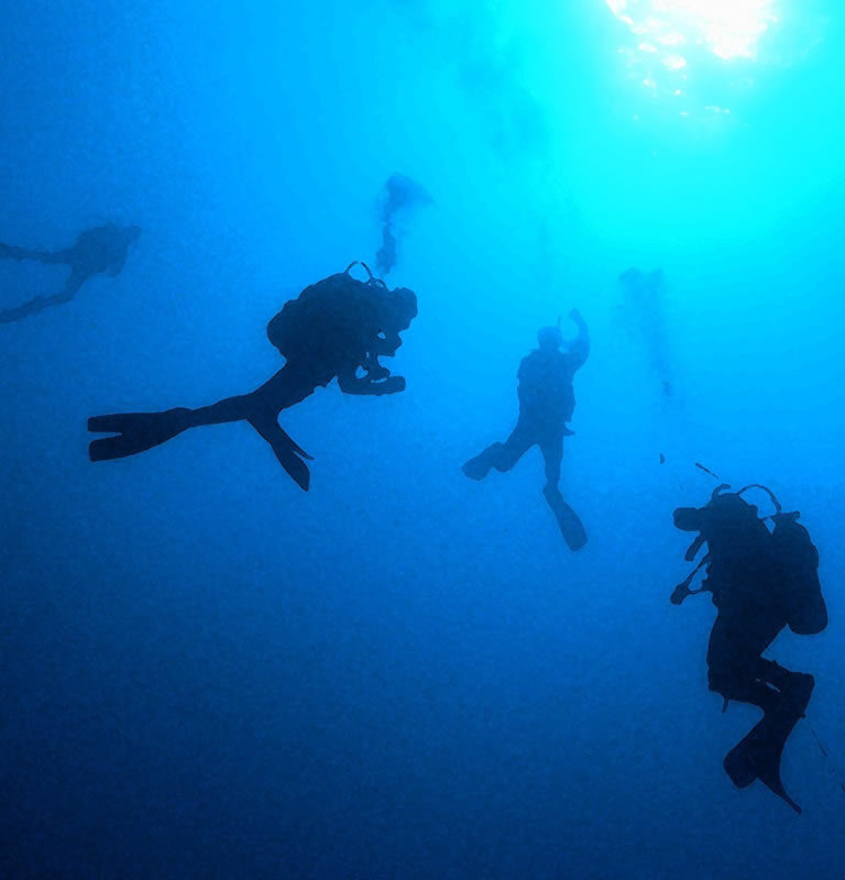 40 meter Deep Diver Specialty.