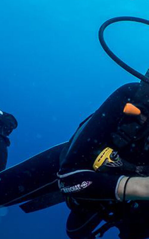 Become an SSI Dive Pro