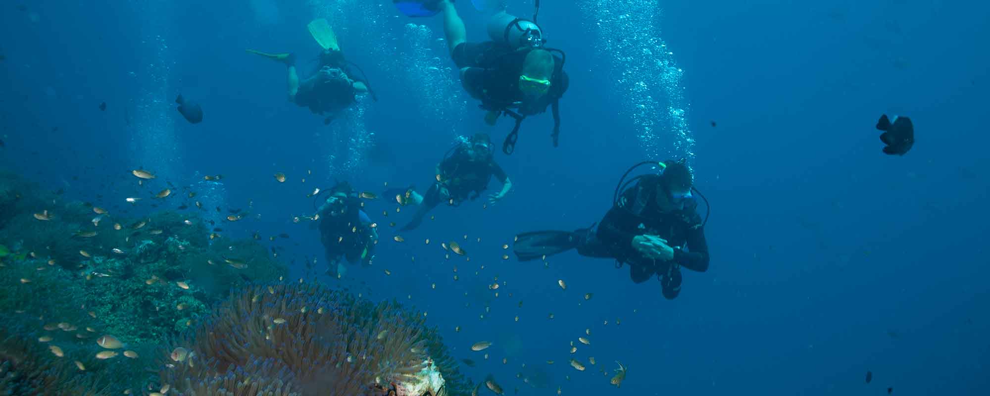 The Open Water Certification