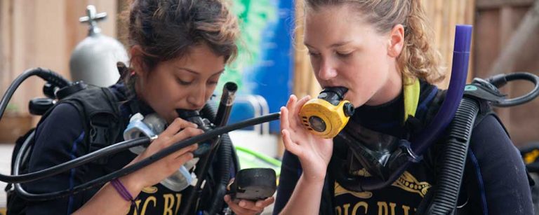 Fun Dives in Koh Tao