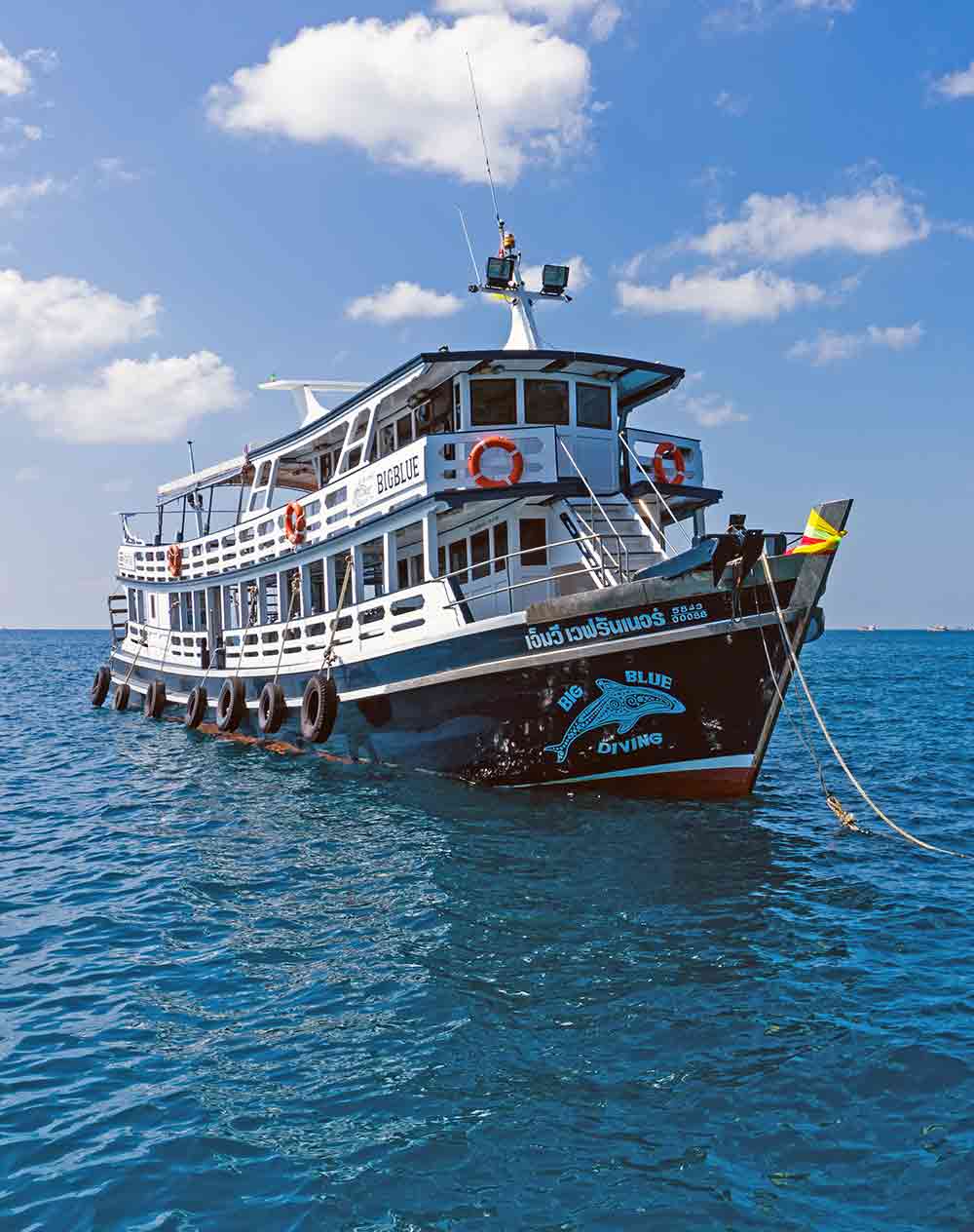 Our Diving Boats - The Big Blue Fleet