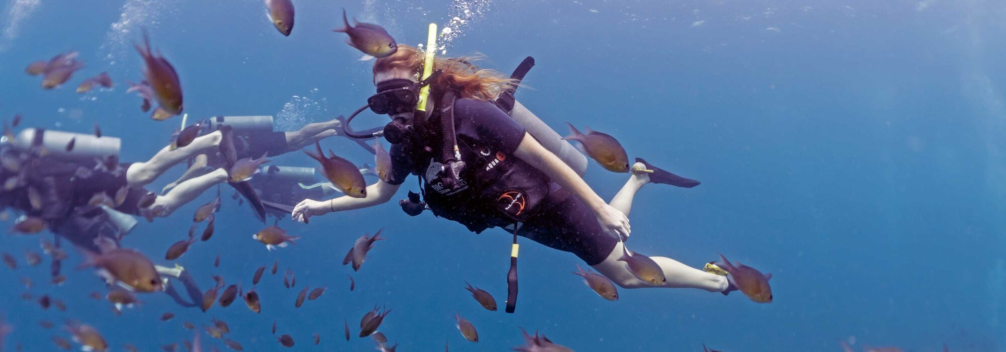 Fun Dives in Koh Tao
