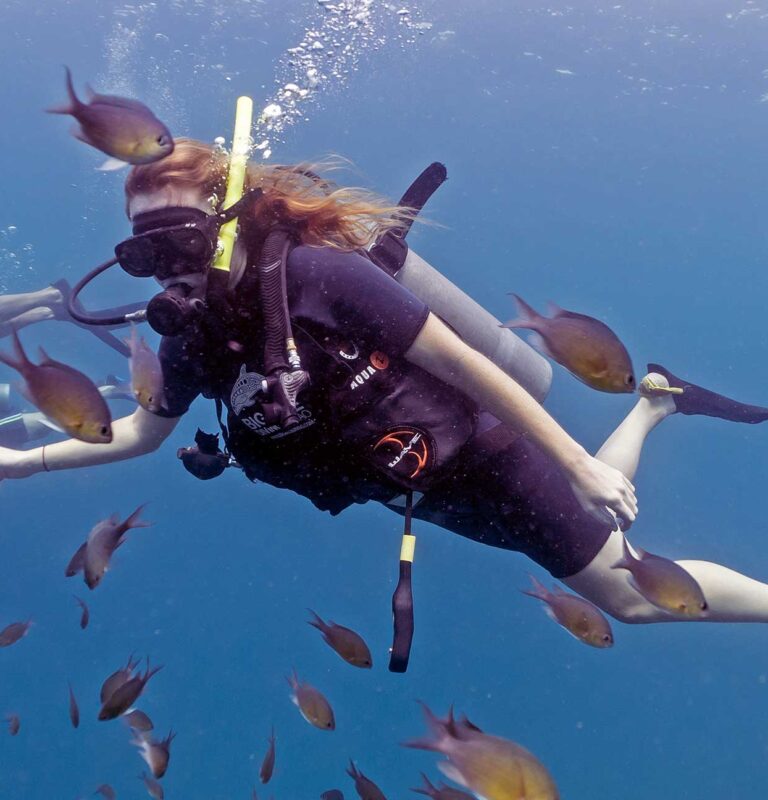 Fun Dives in Koh Tao