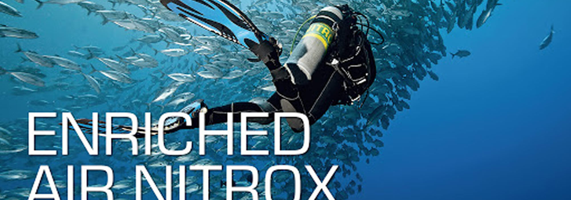 Do your Nitrox Course online!