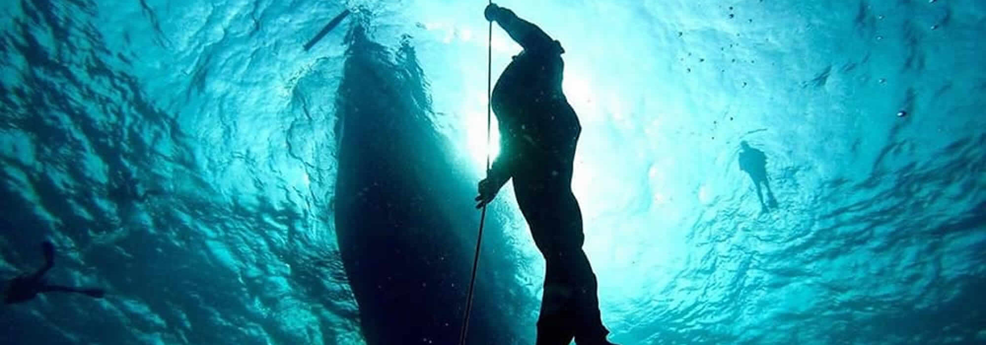 The deepest depth a Freediver ever dived is...