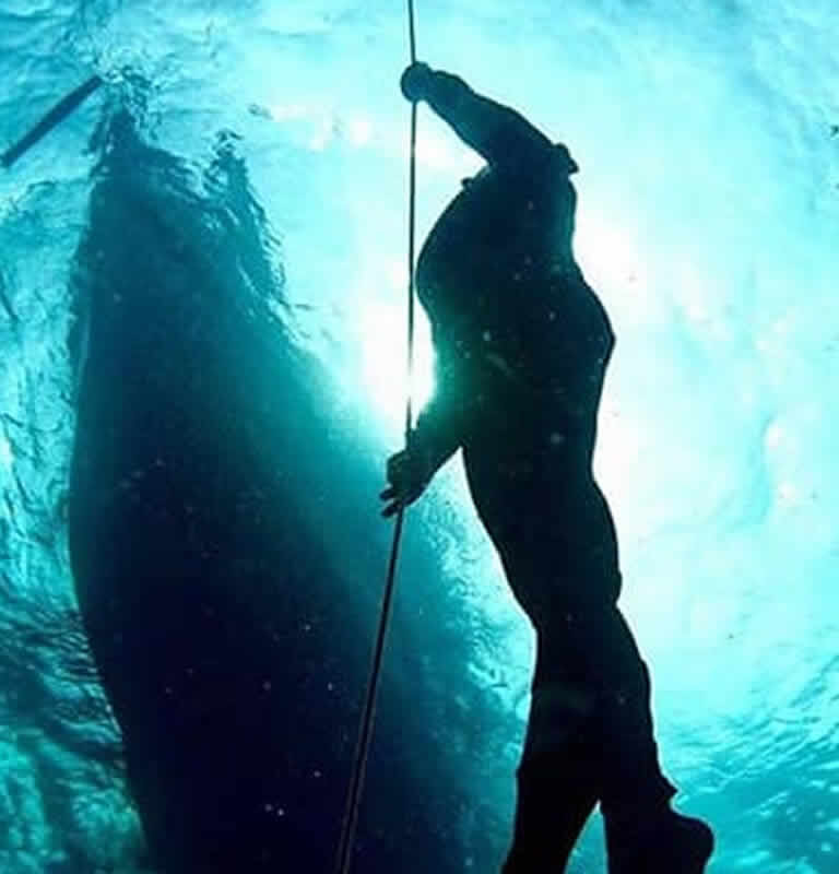 The deepest depth a Freediver ever dived is...