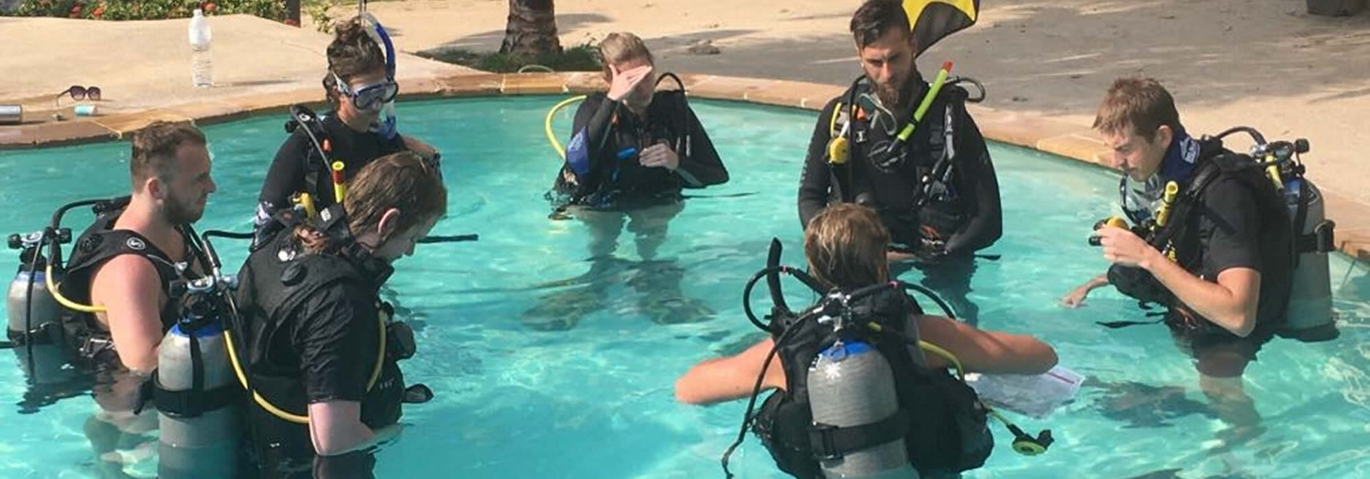 The Best Divemaster Course in the World - Big Blue Diving School Koh Tao