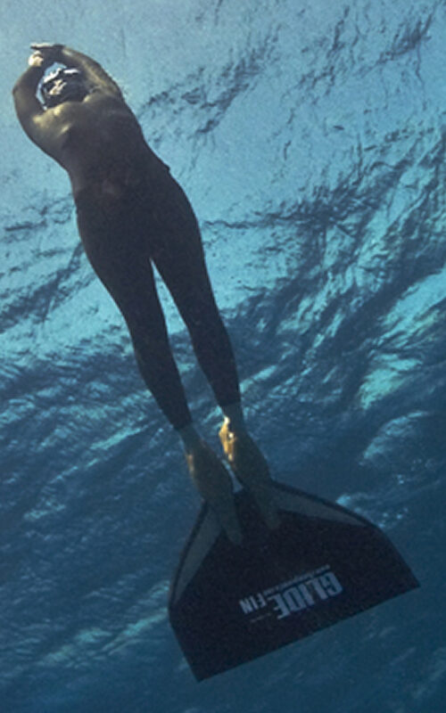 Learn to Freedive