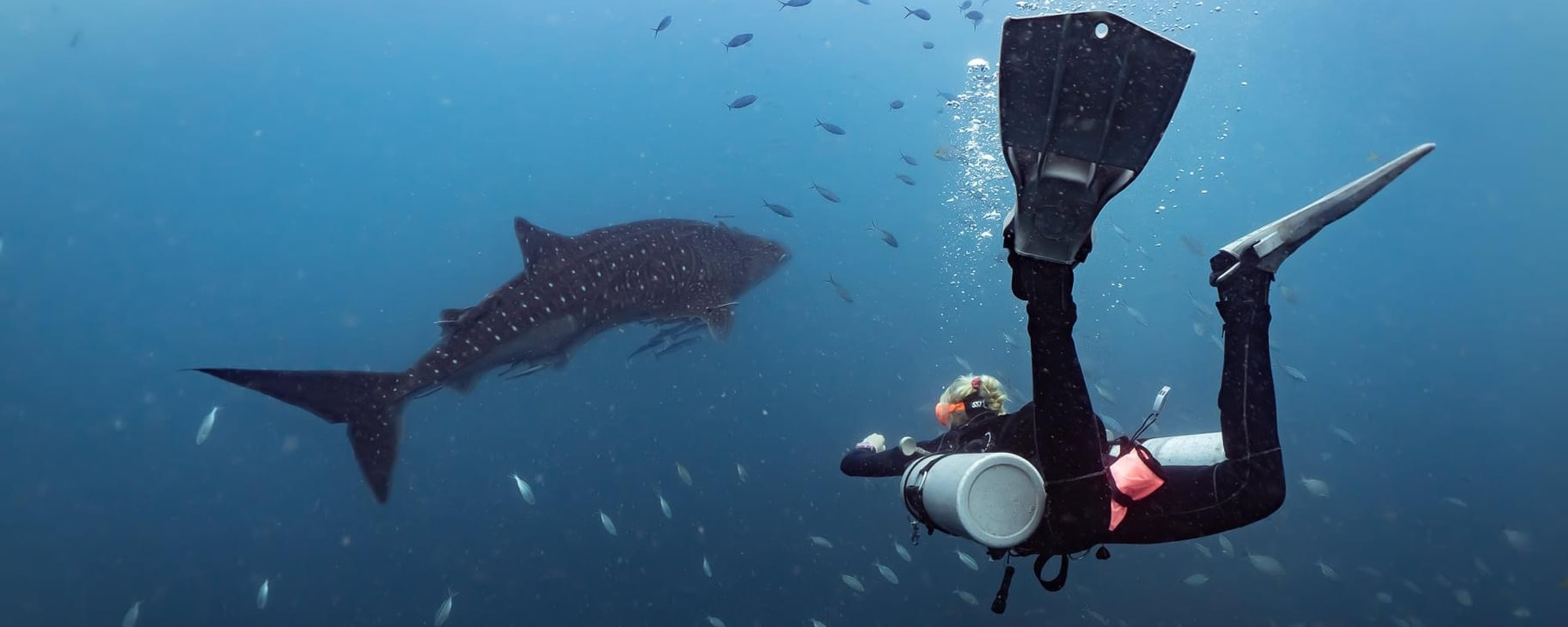 Should you dive Sidemount or Backmount?