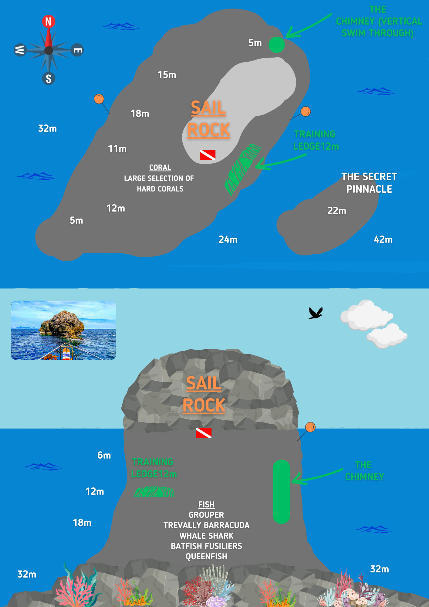 Whale shark Season starting early in 2024