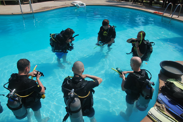 The Divemaster Training Course: a Koh Tao Guide