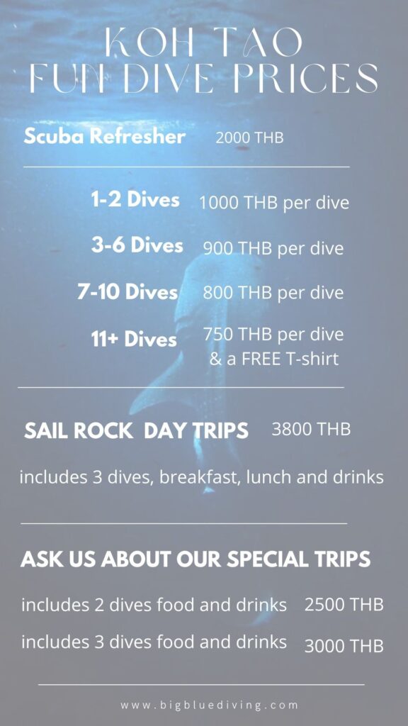 Fun Diving Prices on Koh Tao.