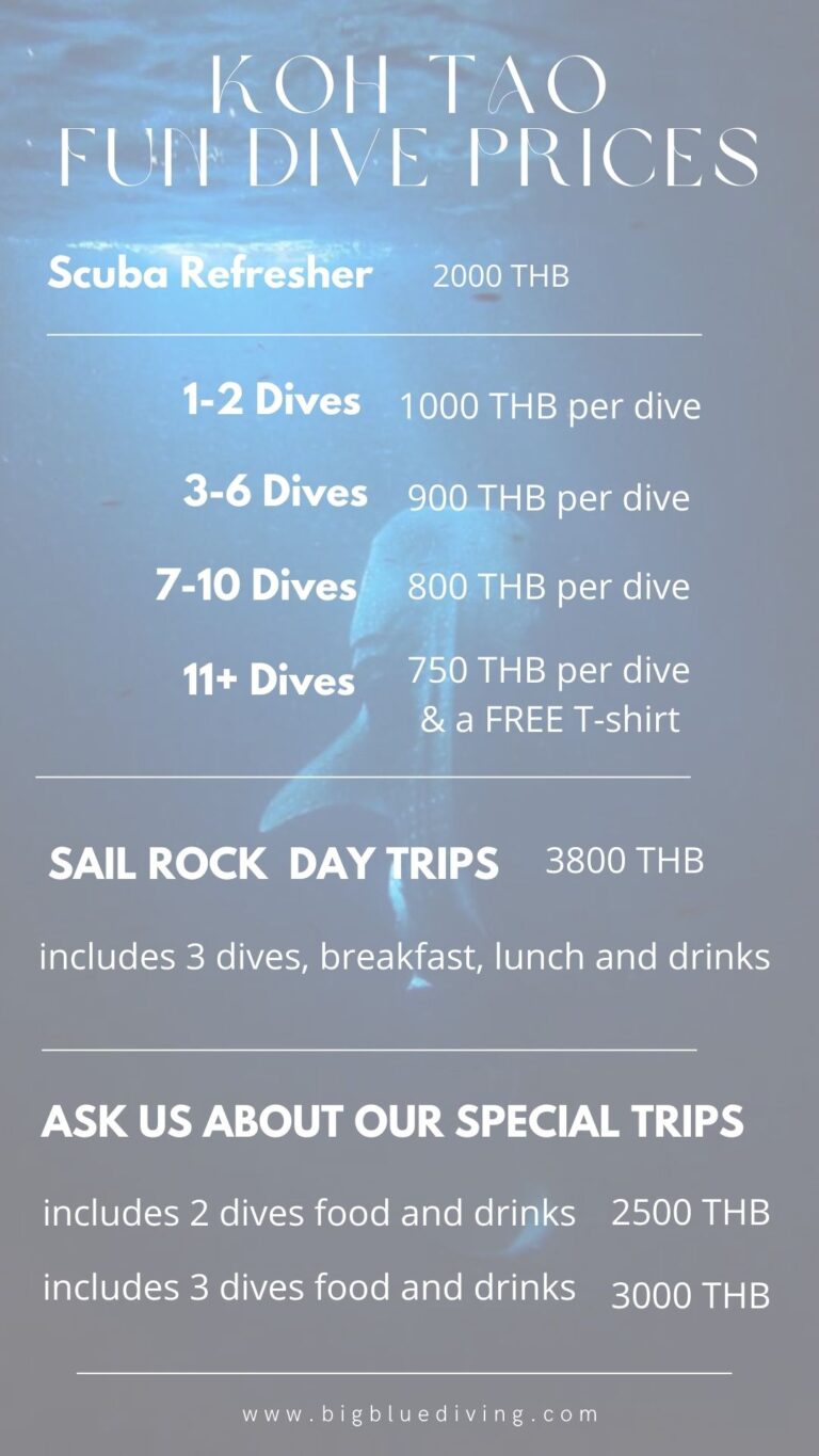 Fun Diving Prices on Koh Tao.