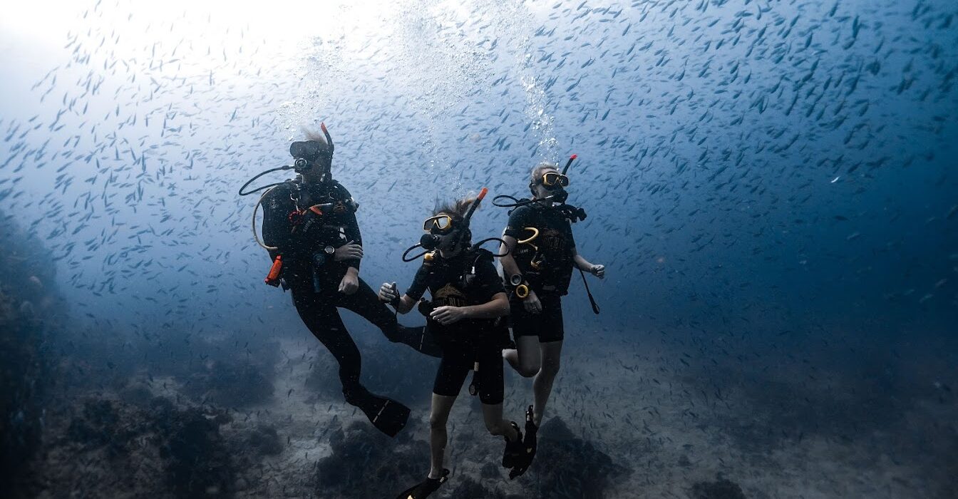 The SSI Open Water Diving License