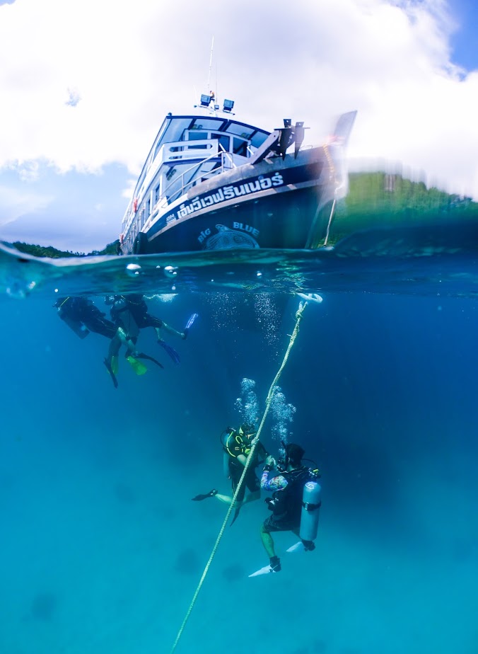 SCUBA Diving Koh Tao | Big Blue | Thailands Best Dive School