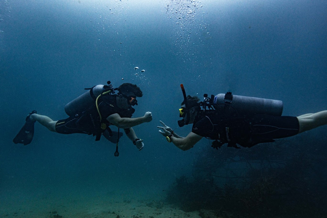 Fun Diving on Koh Tao: A Relaxed Approach to Incredible Diving