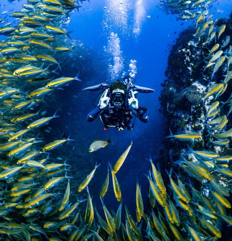 How to Choose the Right Dive Center in Koh Tao: 10 Expert Tips for Safe ...